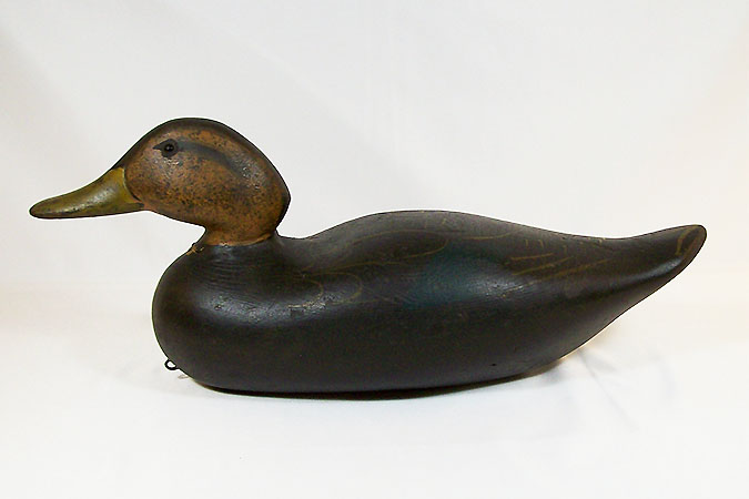 Dodge Black Duck Decoy Jasper Dodge, Michigan, circa 1880s