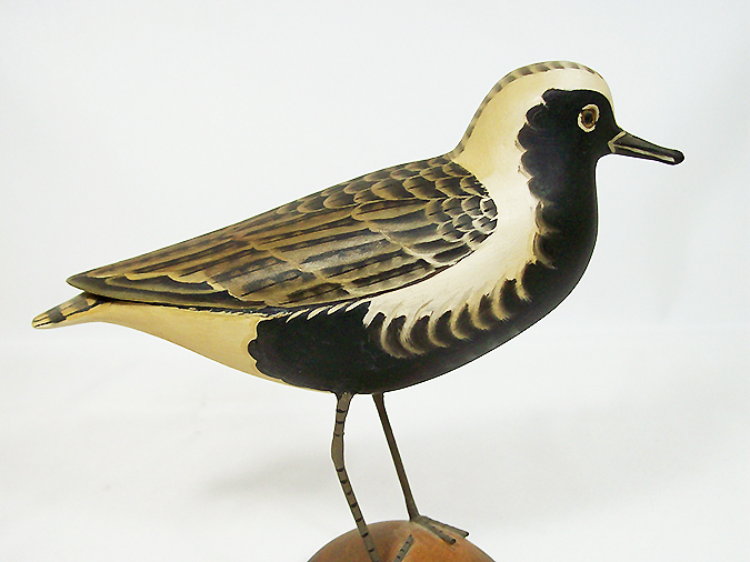 Black-bellied Plover Shorebird by James Lapham, Cape Cod, Mass 1960s